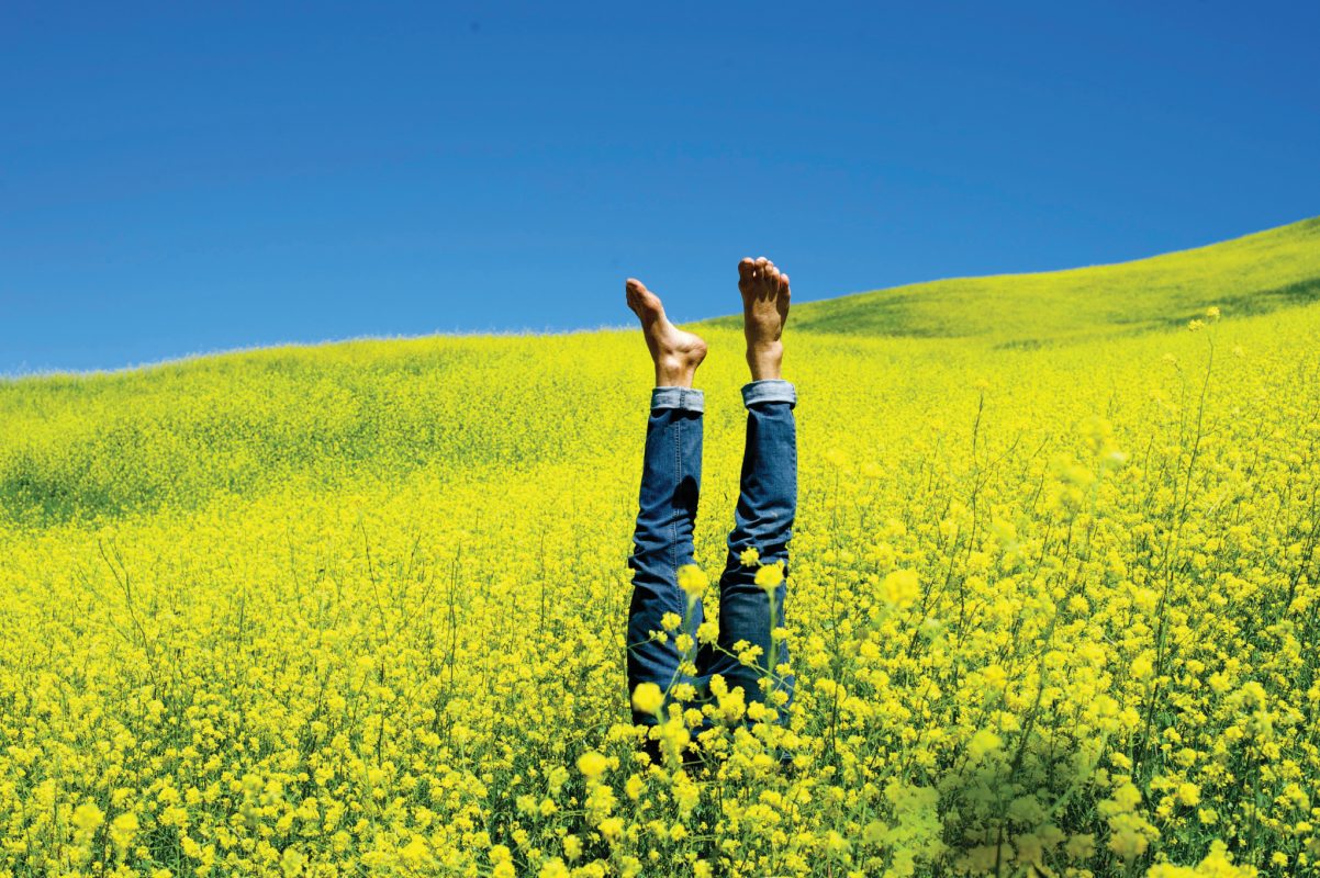 Self-Love Journey Guide - The Purist