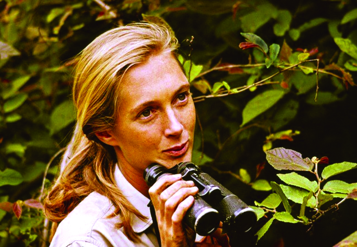 Facetime with Jane Goodall - The Purist