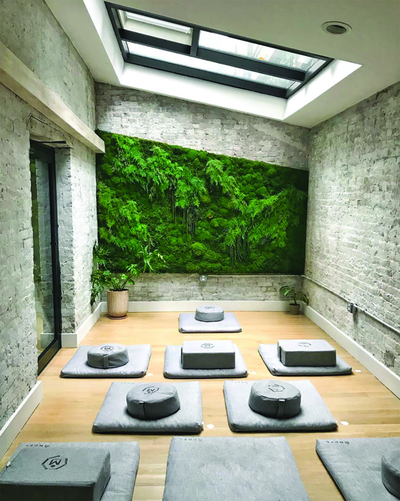 Ellie Burrows Gluck, co-founder of MNDFL Discusses The M-Word