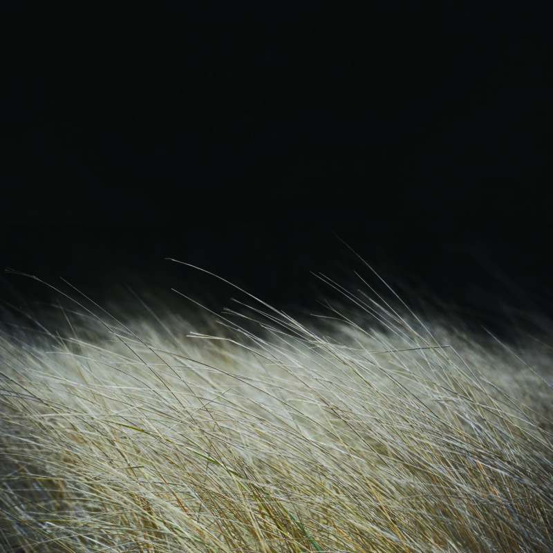 Meditate for Better Sleep: Strategic Sleep - The Purist