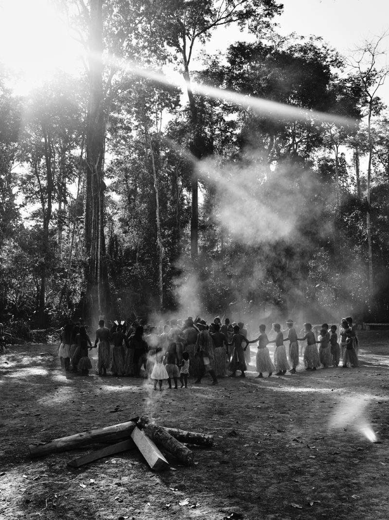 Connect 4: Francisco Costa and Daniela Raik On Saving The Amazon