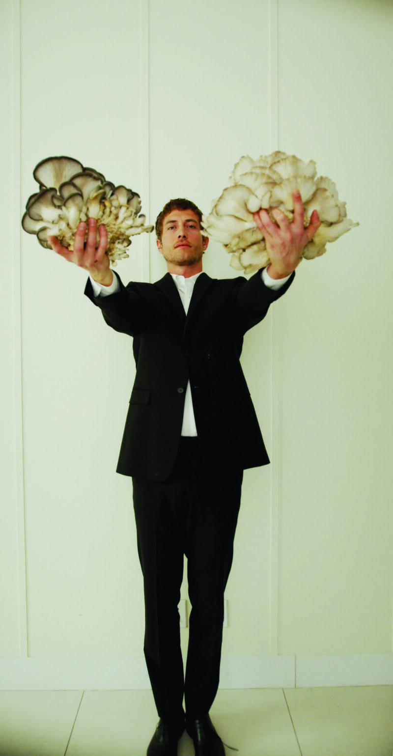 Fuel Up - The Purist