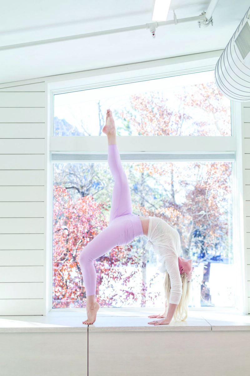 Aspen Gyms COVID: Aspen Indoors - The Purist