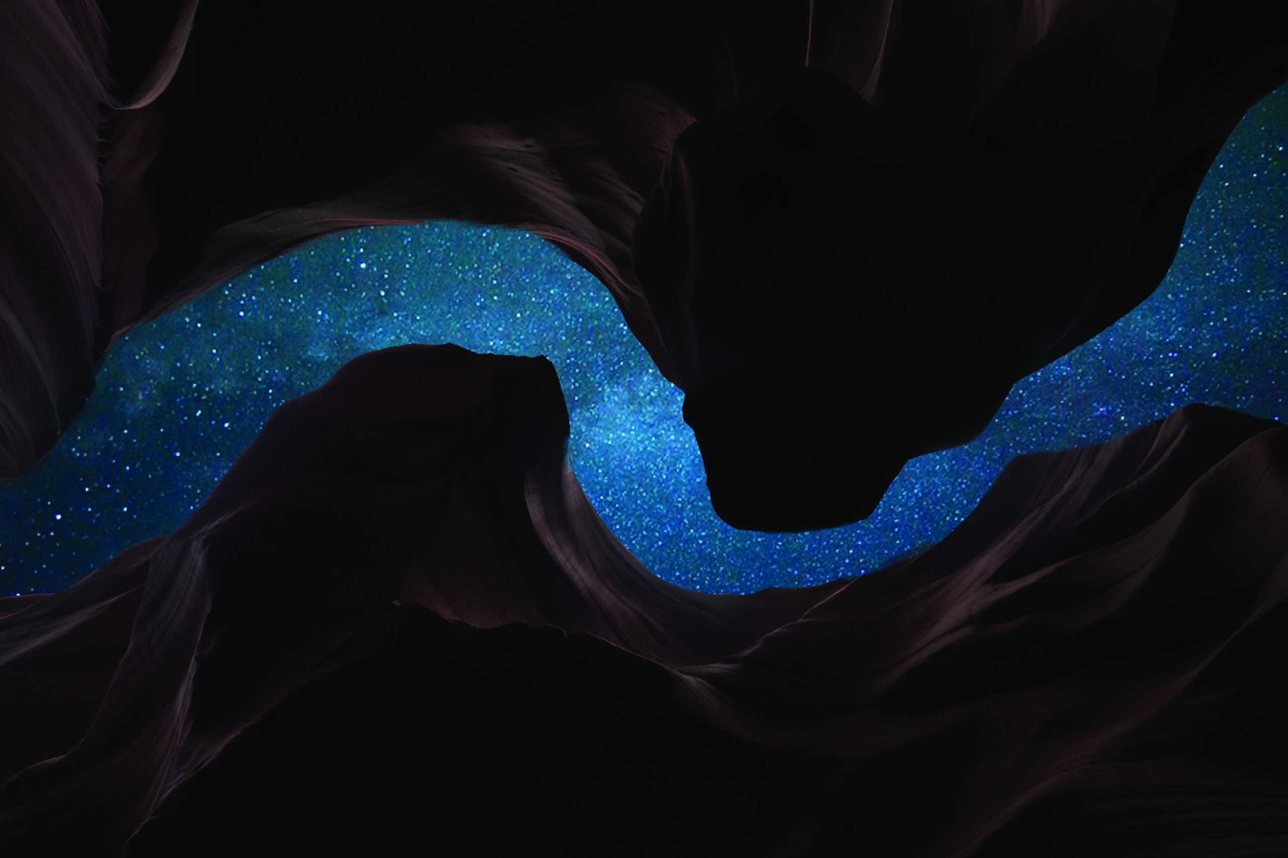 Sleep & Immune Resilience - The Purist