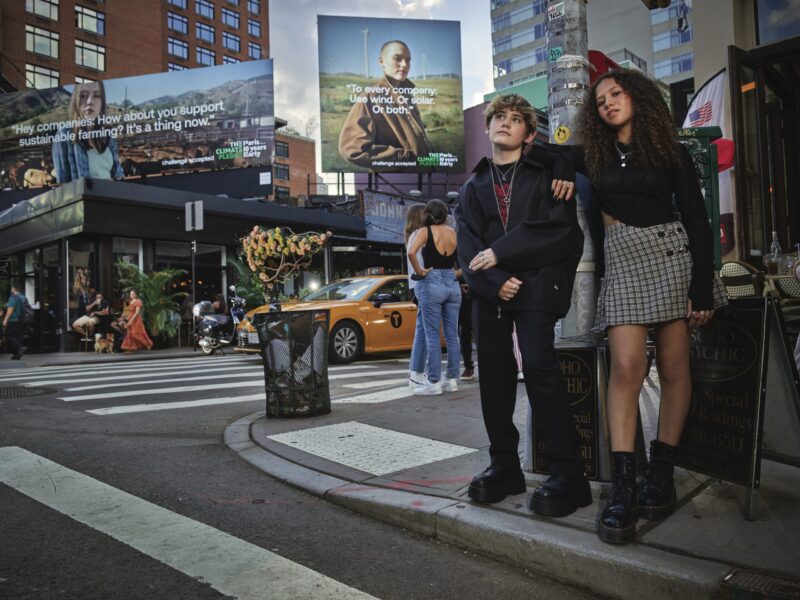 Overt Operation - The Purist