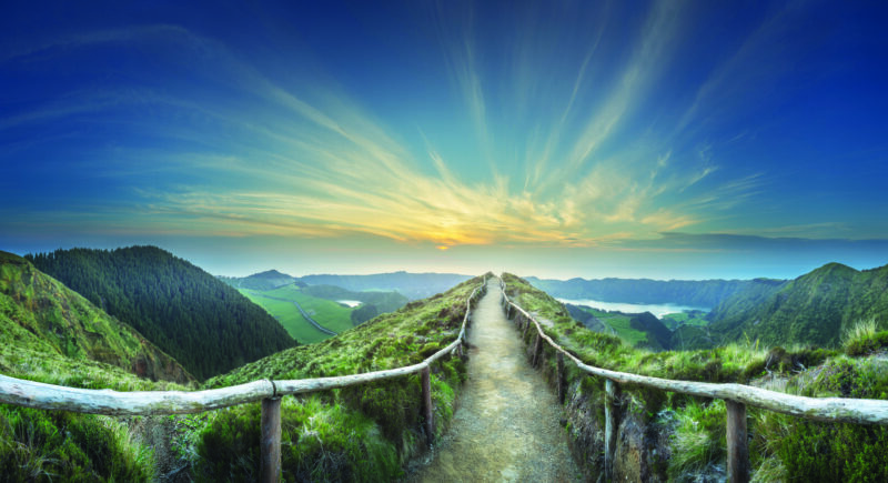 Reverse Running Health Benefits - Switch Up Your Routine