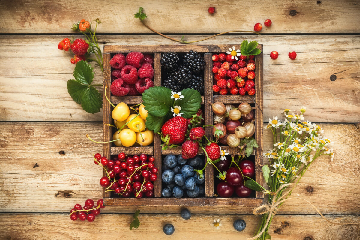 Edible Heaven - The Purist