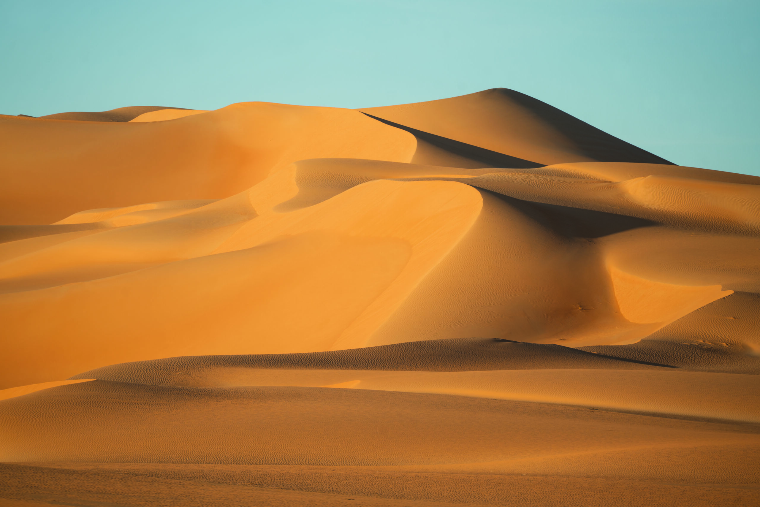 Alter Ego: Raphael Avigdor - The Purist