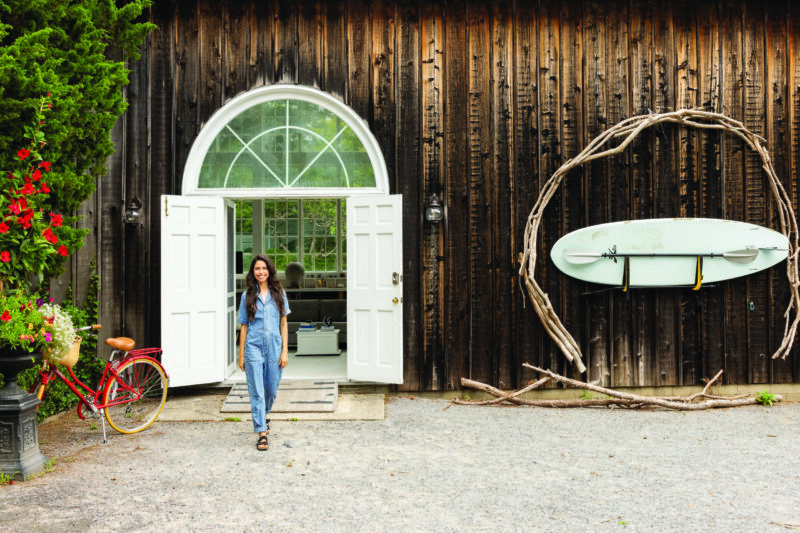 Art in Springs - The Purist