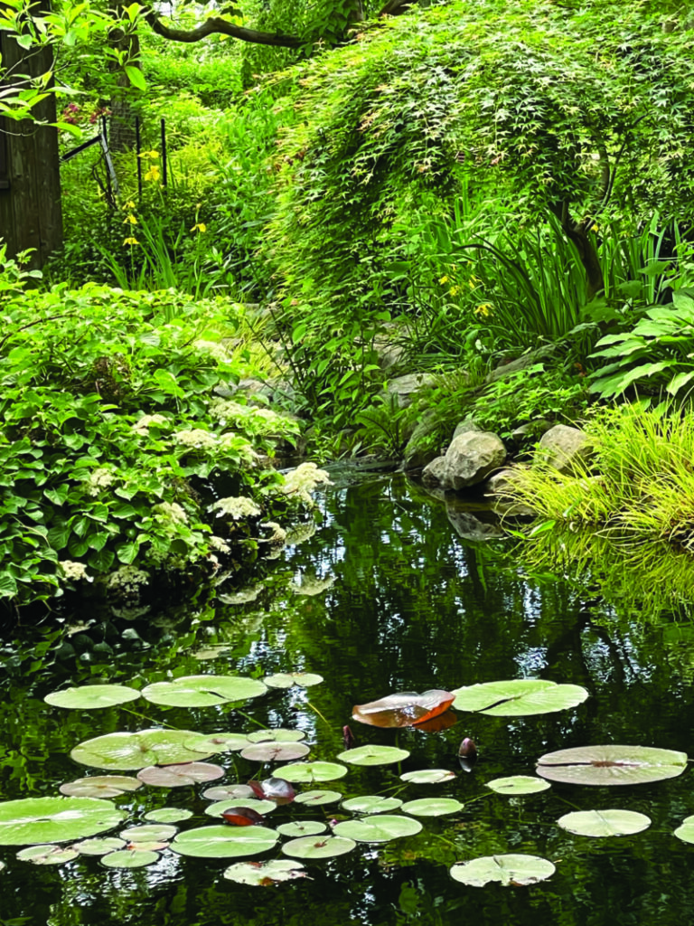 The Magic of Madoo Conservancy - The Purist