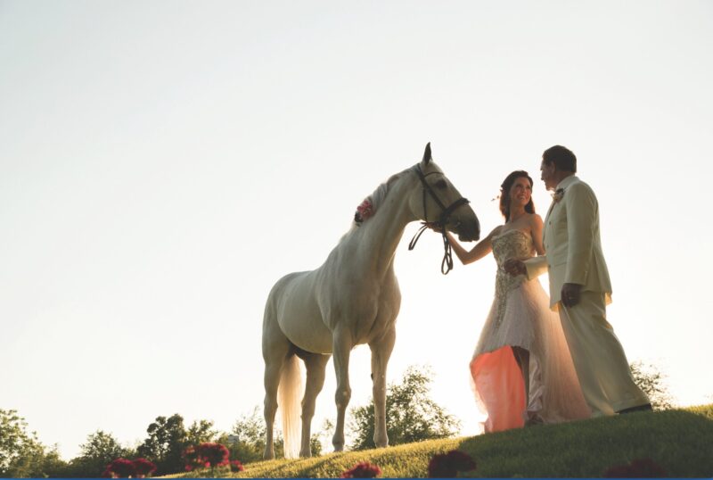 Why Have Just One Wedding? - The Purist