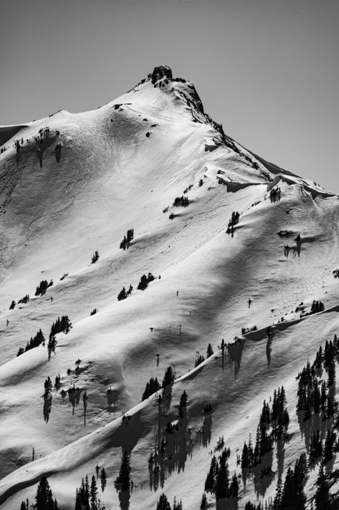 Aspen Film 2023 - The Purist