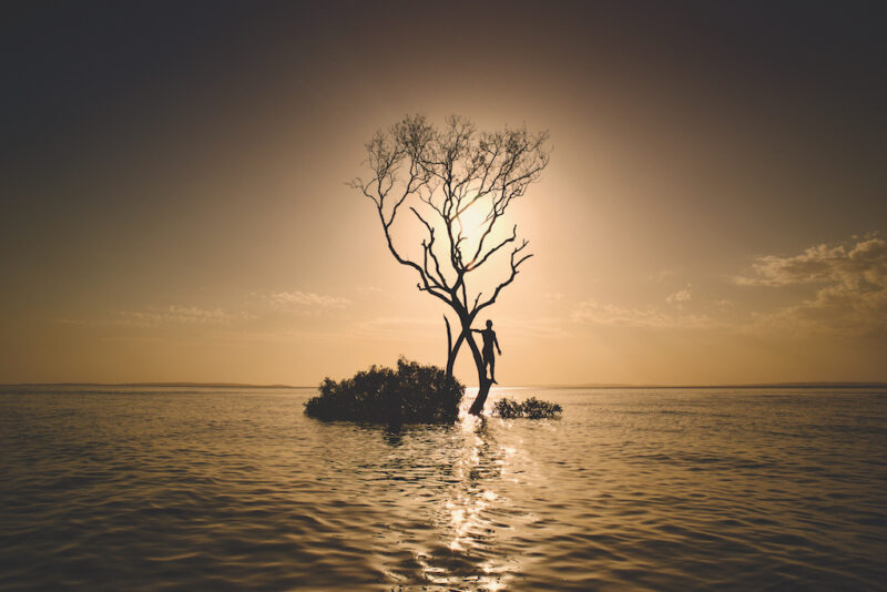 Discovering Deep Time With Biomancy - The Purist