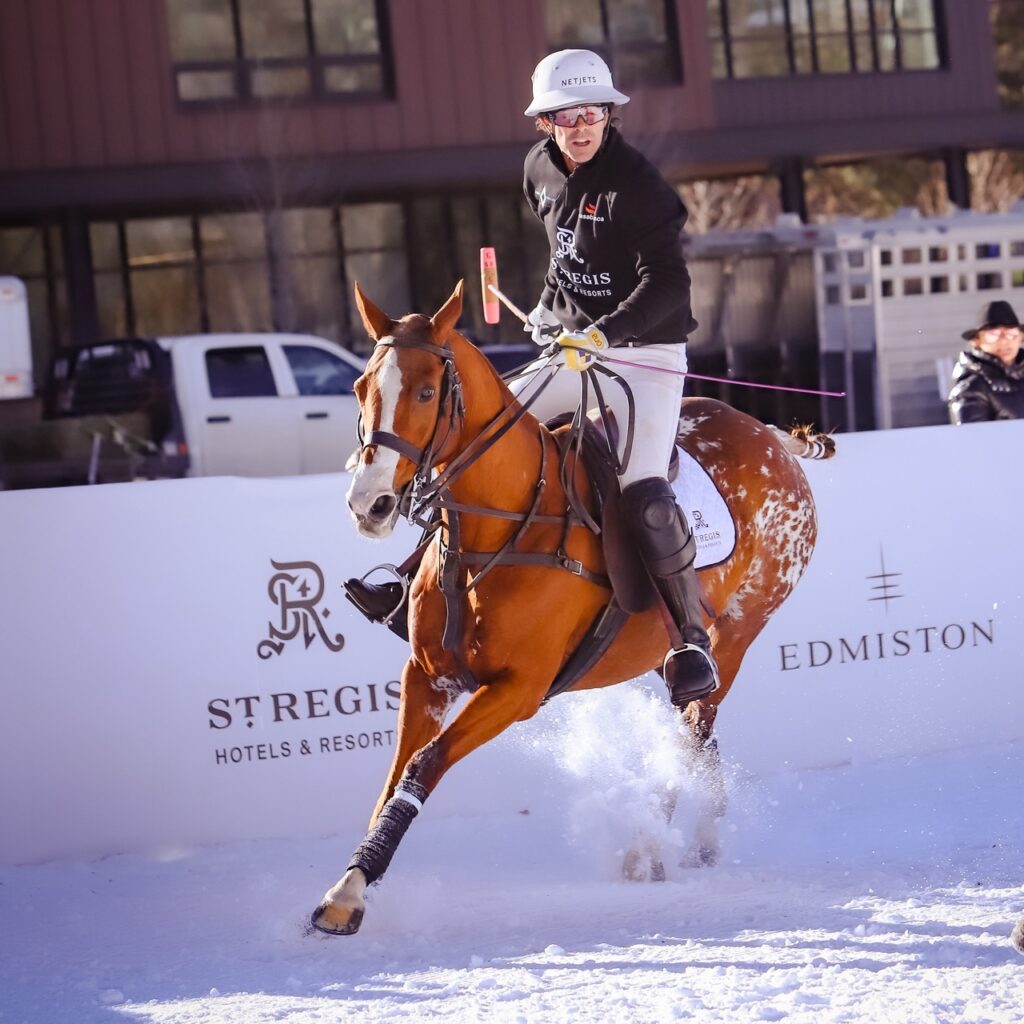 Snow, Stars and Polo - The Purist