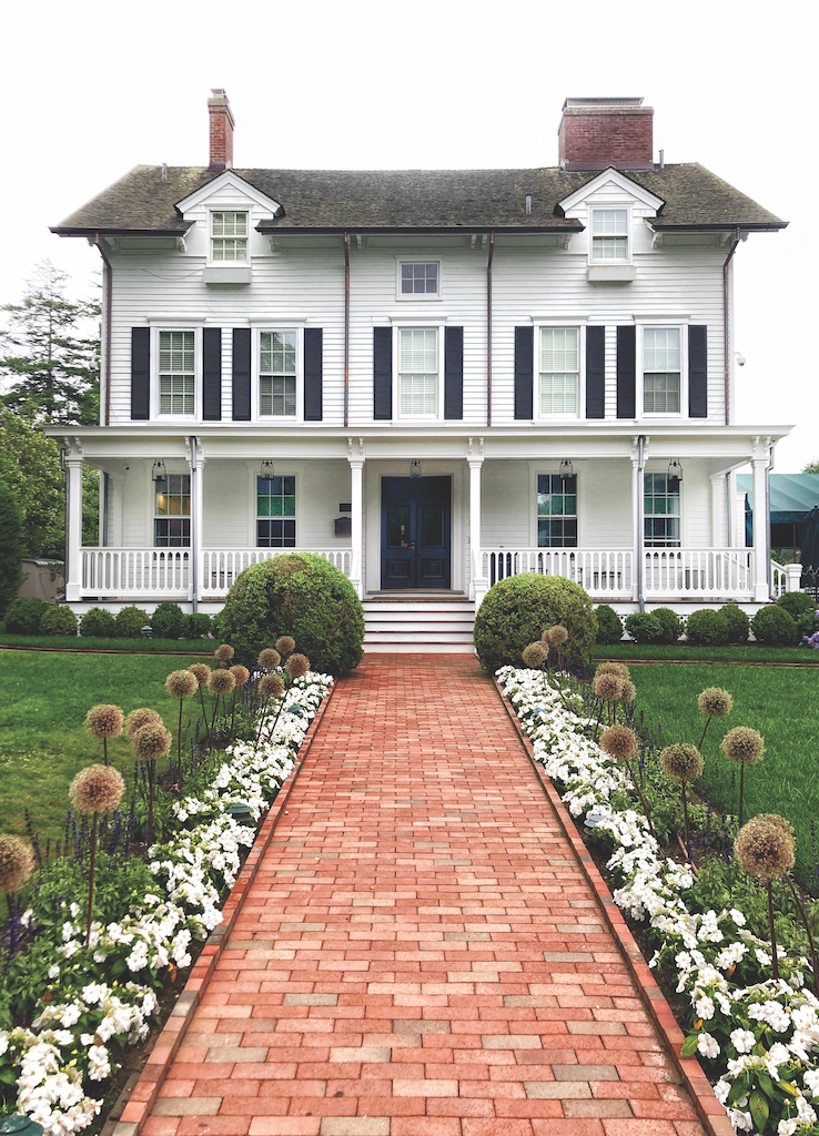 Reimagining The Hedges - The Purist