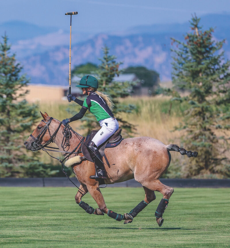 Pure Picks: Lee Evans Lee - The Purist