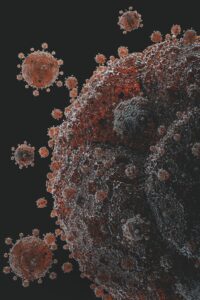 Fighting Spike Protein - The Purist